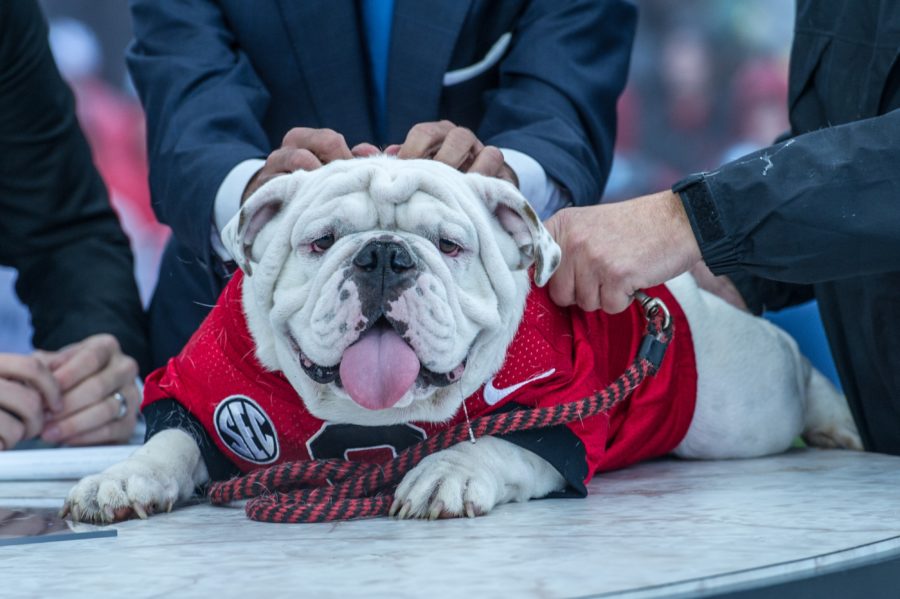 #NationalDogDay: Canine cameos on College GameDay - ESPN Front Row
